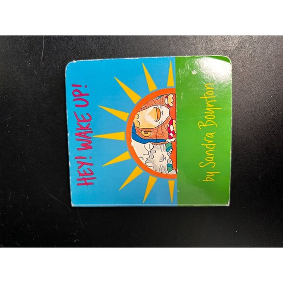 Toys | Hey Wake Up Board Book By Sandra Boynton Childrens | Poshmark